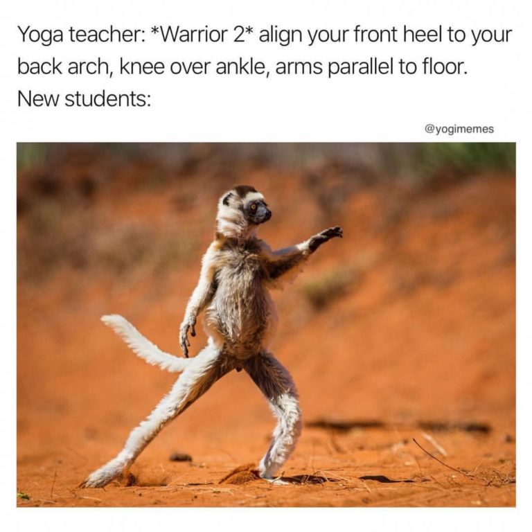Collection of the funniest yoga memes – Beinks Yoga